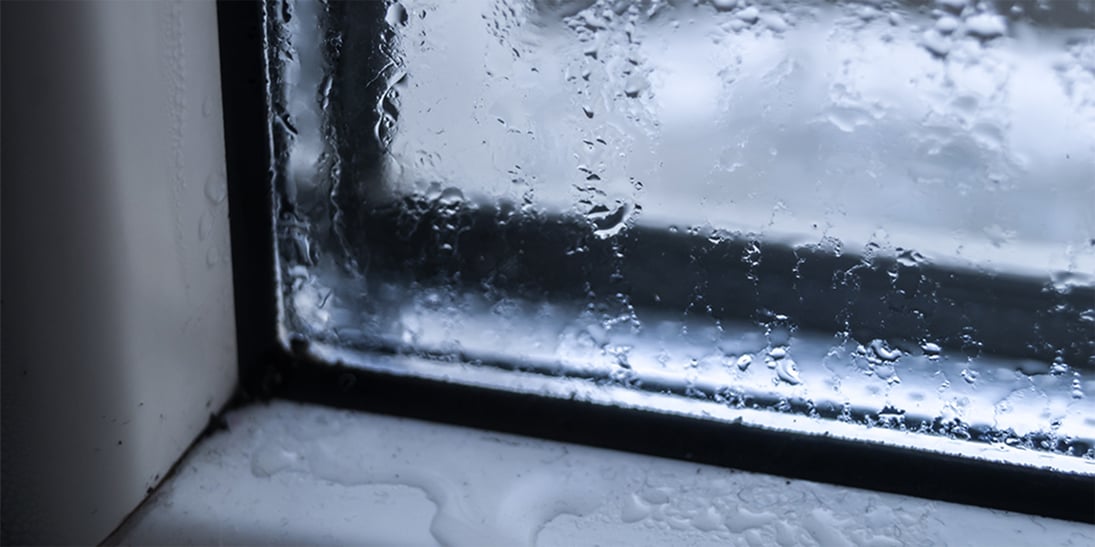 Causes and identification of damp and mould