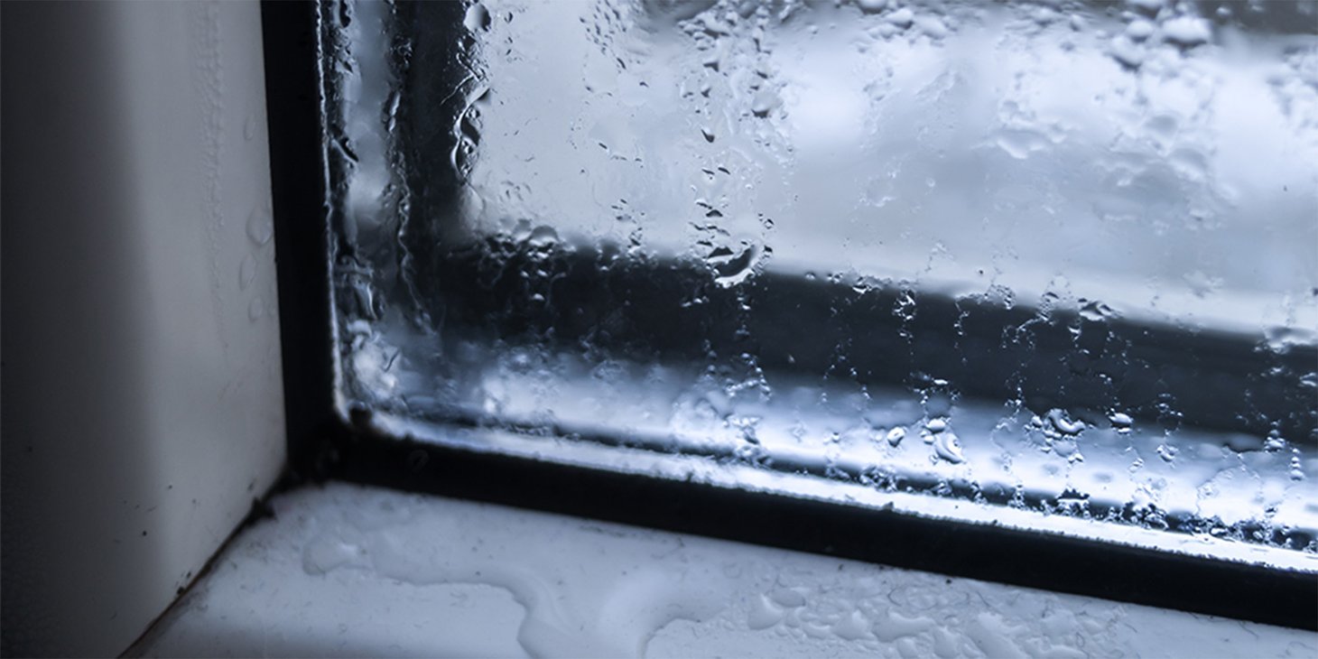 Causes and identification of damp and mould