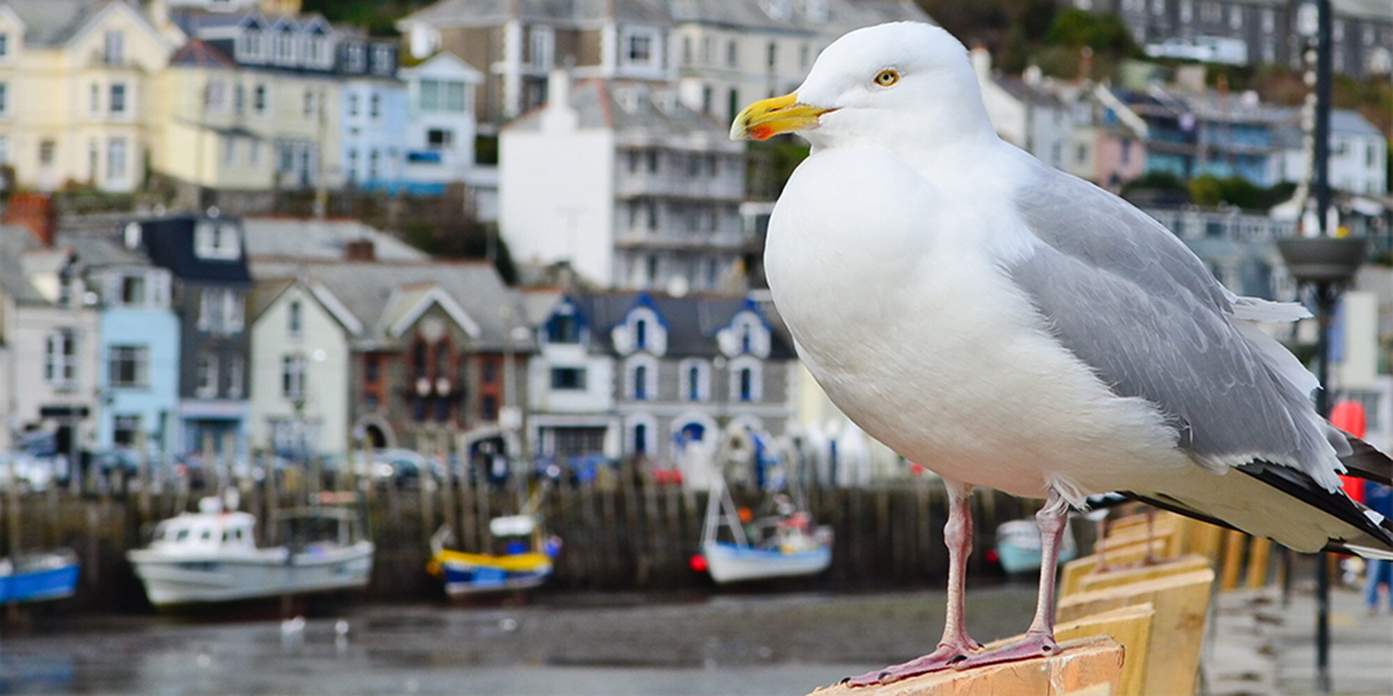 Protecting seaside properties